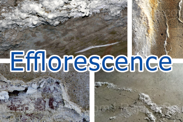 Efflorescence, Cause Of Efflorescence
